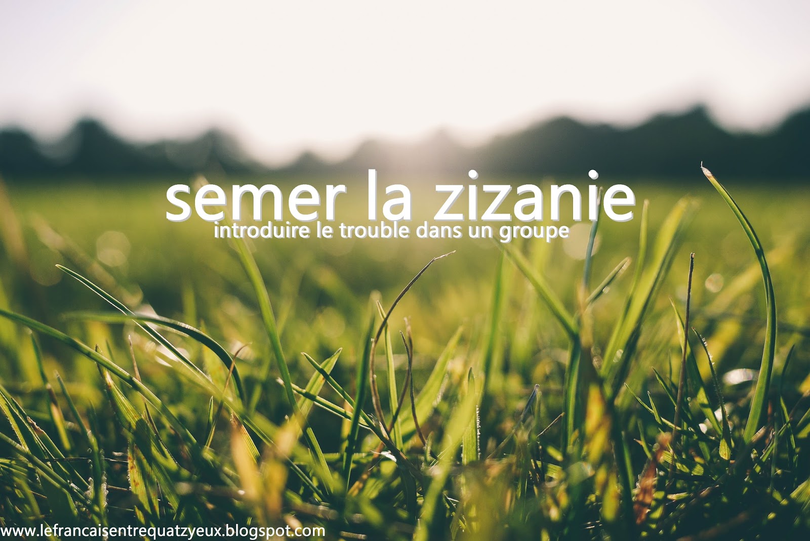 Expression : semer la zizanie | Le français entre quat'z'yeux