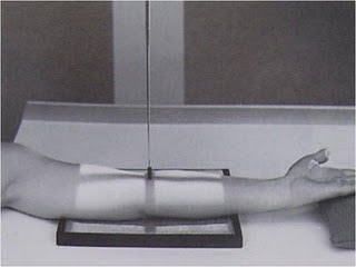 Tecnicas Radiologicas: Técnica radiográfica para el antebrazo en ...