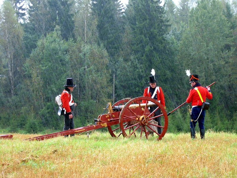 Blunders on the Danube: The Norwegian Army - 1814