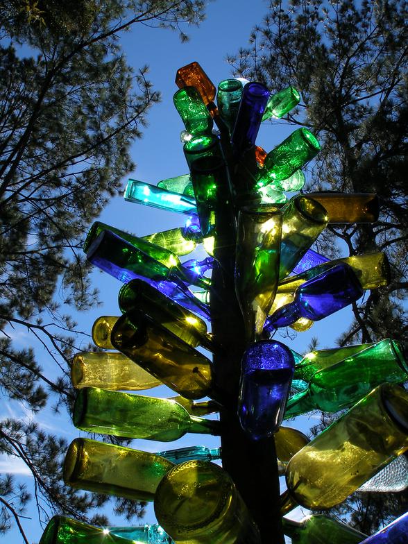 The Barthet Gallery: Bottle Tree in Sunlight