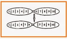 DETAIL MUTASI - Biology Page