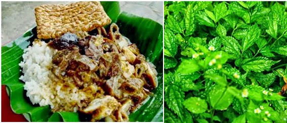Nasi Kentut - Nasi Ini Boleh Membuatkan Anda Ketagih! - MYNewsVibes