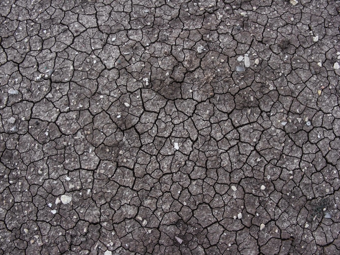 L‍evTex 3D Textures: Cracked Ground Textures (4 photo-textures)