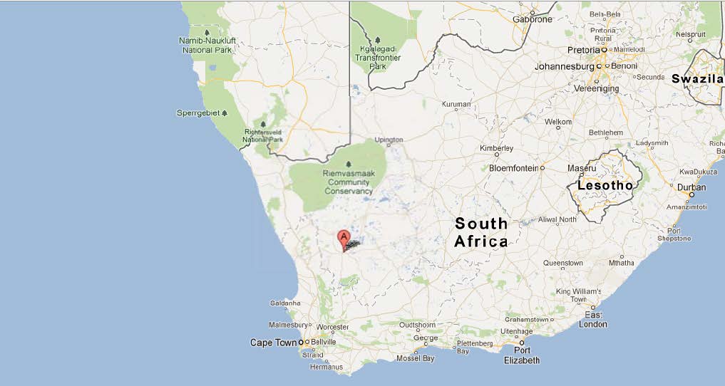 The Biele Family Blog: August 2012