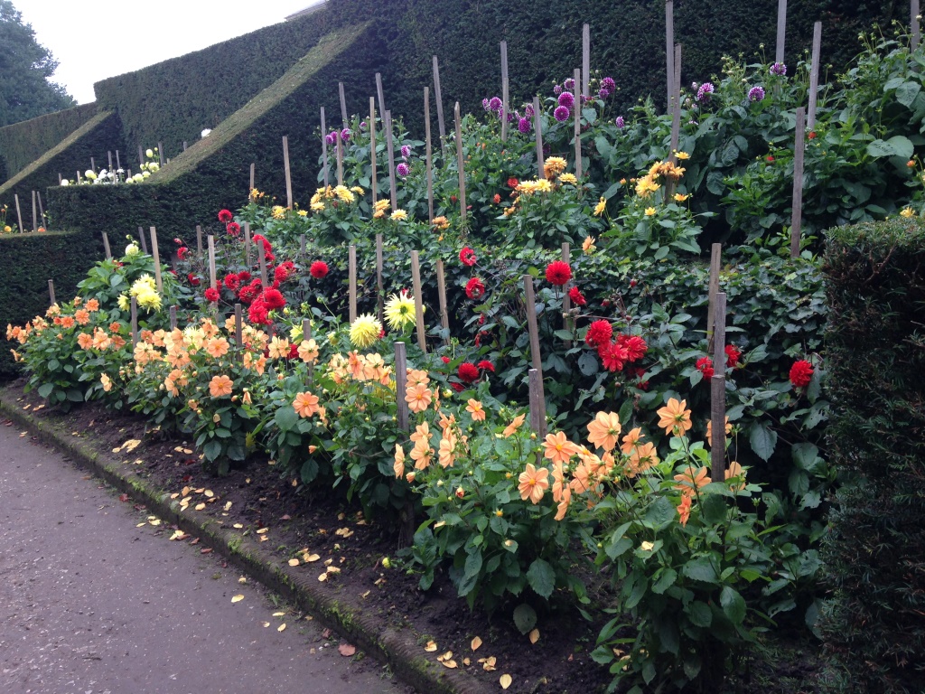 National Trust Scones: Biddulph Grange Garden