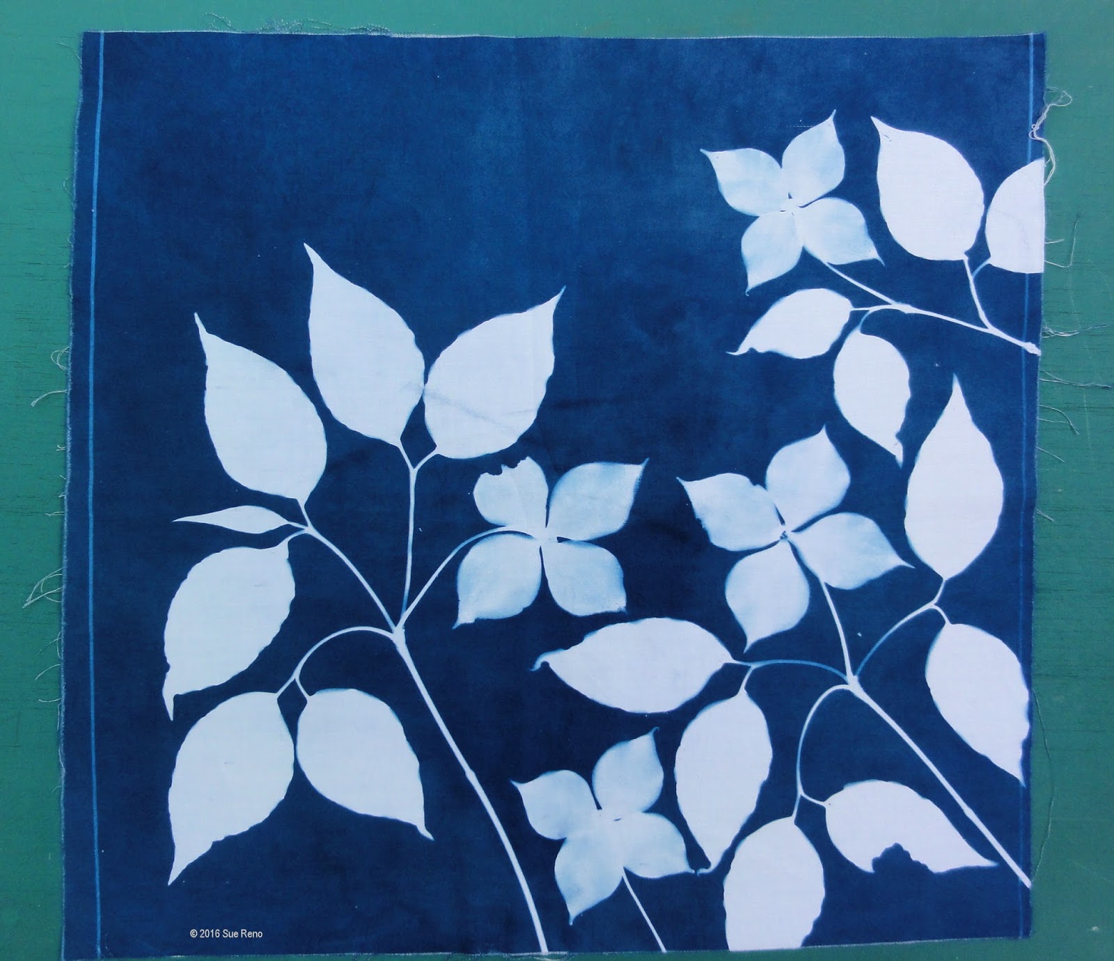 The Printed Fabric Bee: Surface Design in Plein Air ~ Cyanotype and ...