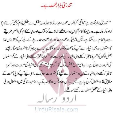 Urdu Collection: Essays