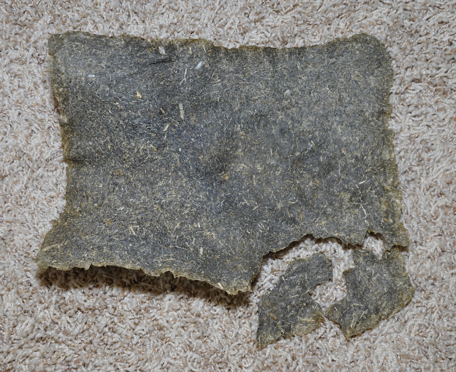 365 Days of DIY: 2/19/12 - 2/26/12