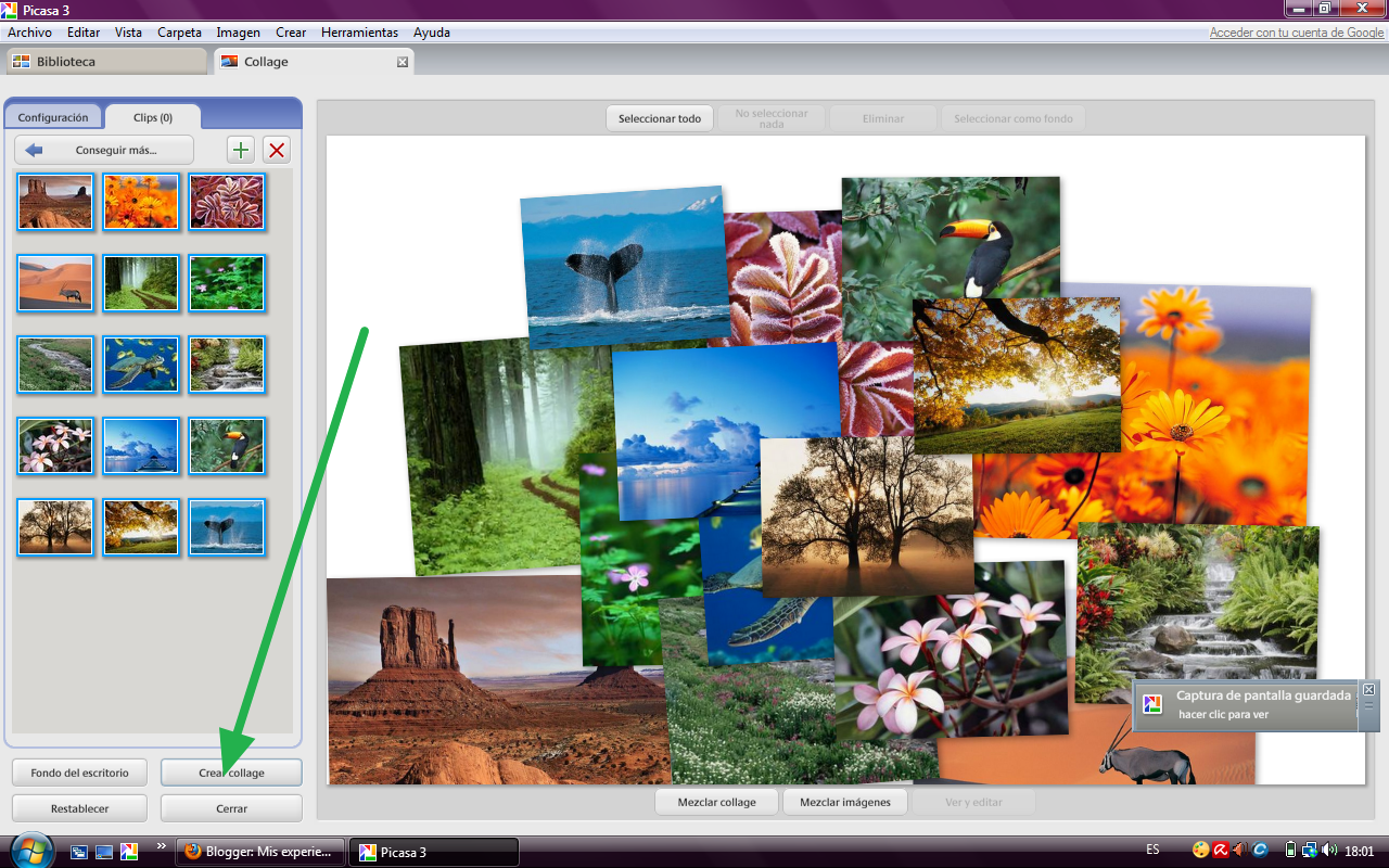 Mis experiencias 1979: COLLAGES CON PICASA