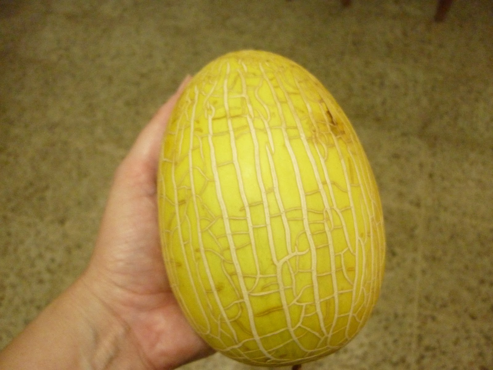 commuNICA: Fruit of the day: Dinosaur Eggs