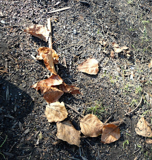 Outdoor Literacy: Introducing letters | Creative STAR Learning | I'm a ...