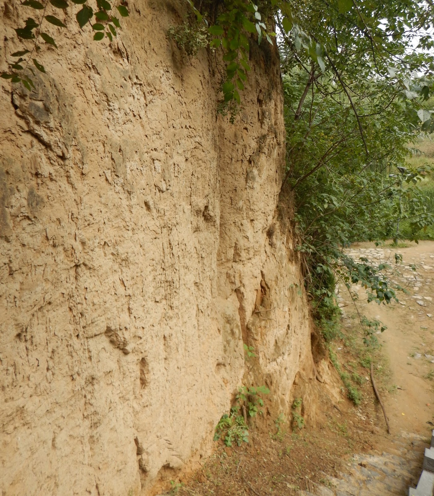 The World Complex: Loess in west Zhengzhou