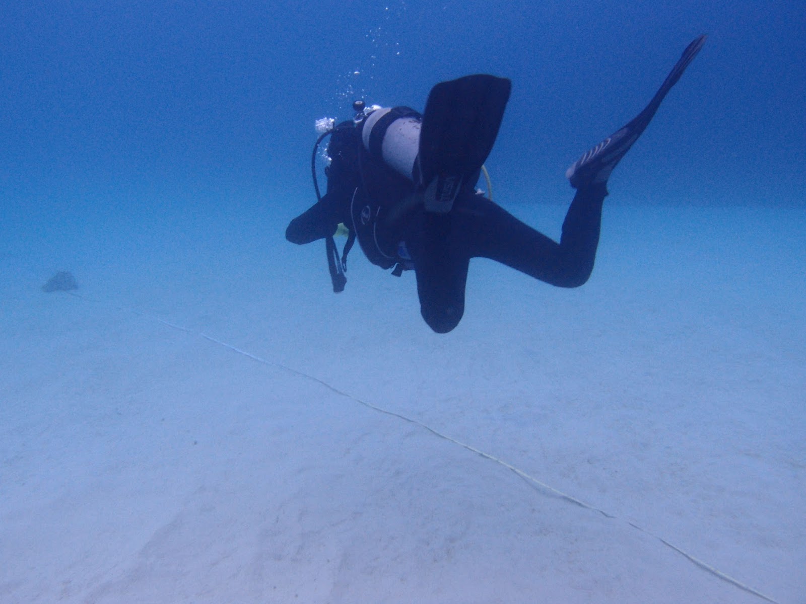 OKINAWA 39ers Dive Log: Frog Kick and Frog Fish