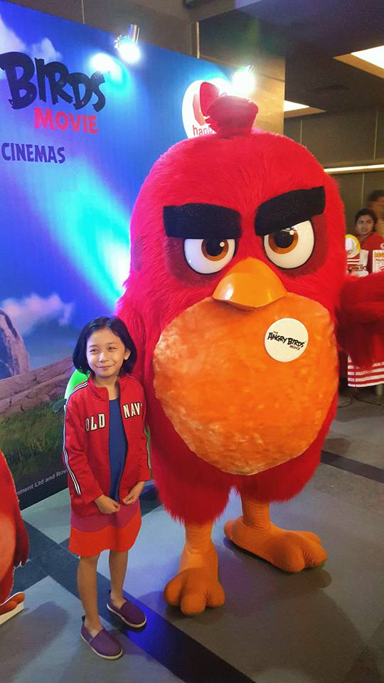 Angry Birds Happy Meal at McDonald’s | Rockstarmomma