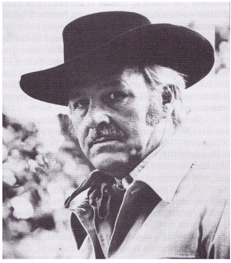 WESTERN MOOD: The Villains Pictures