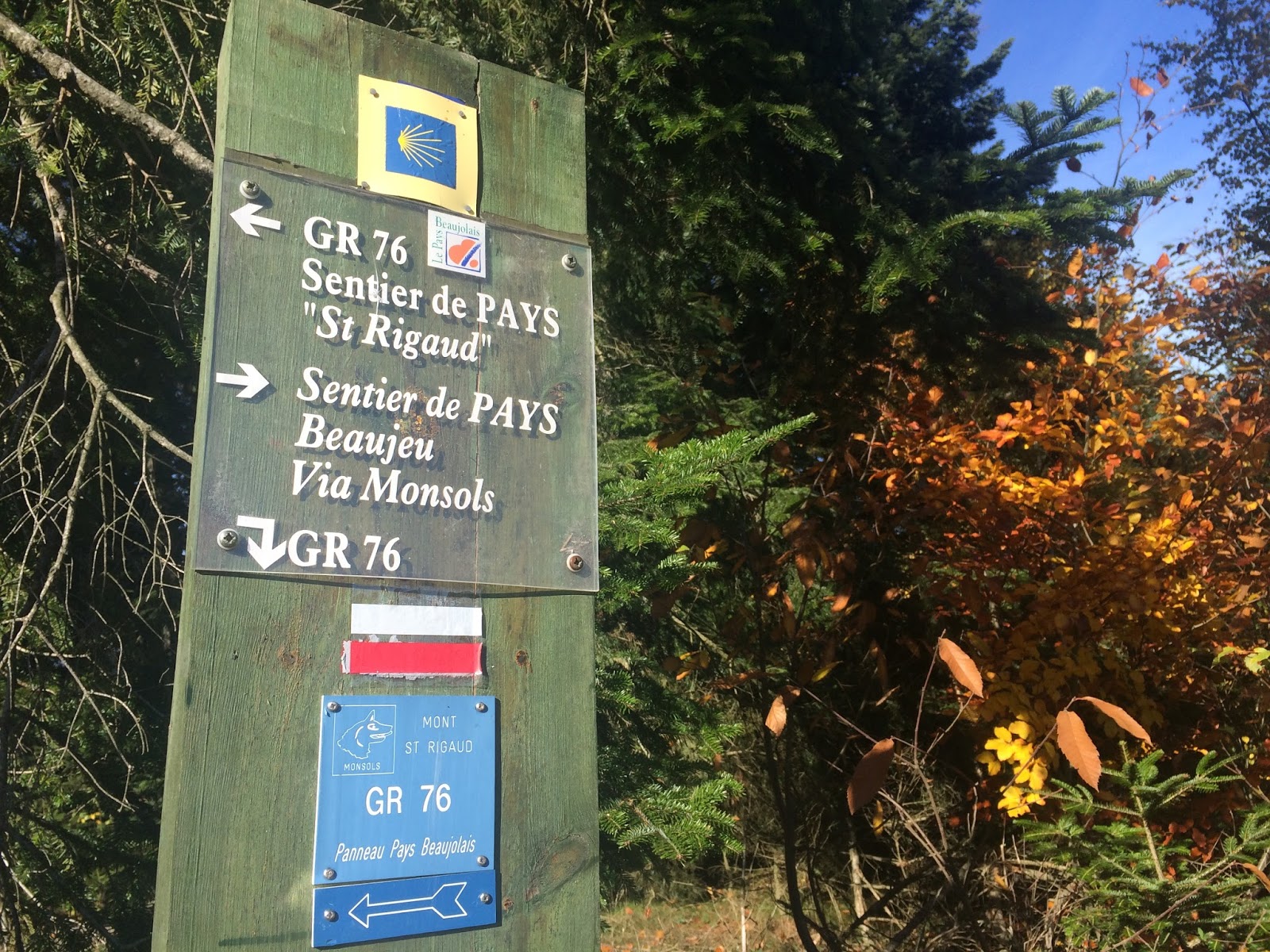 AltitudeRando Blog: Le Mont St-Rigaud (1009 m) depuis le Col de Crie ...