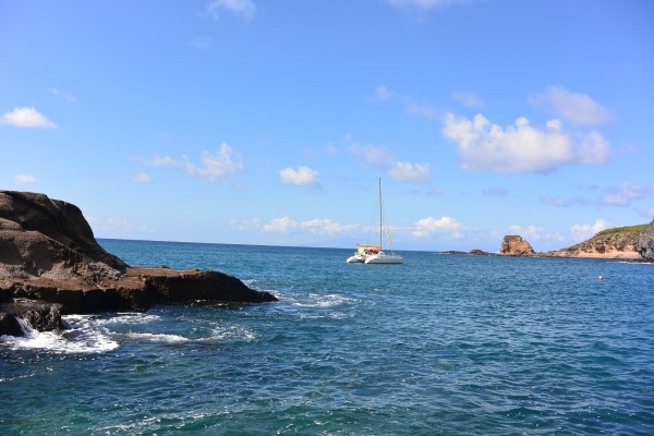 Lazarina des Océans