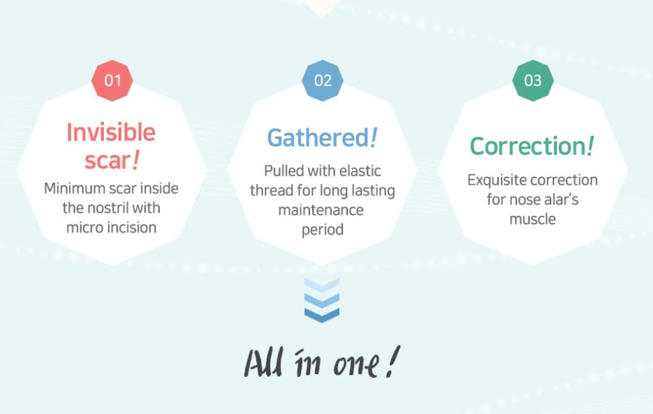 Plastic Surgery in Korea : Complex Nose Alar Reduction