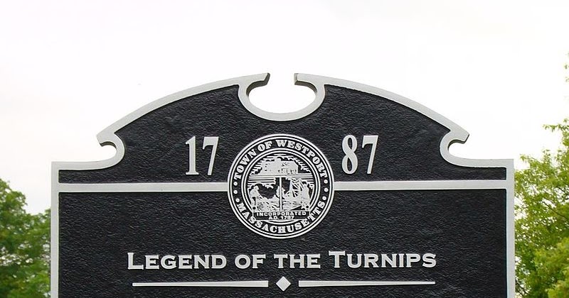 Diary of a Locavore: The Local Food Report: Macomber turnips