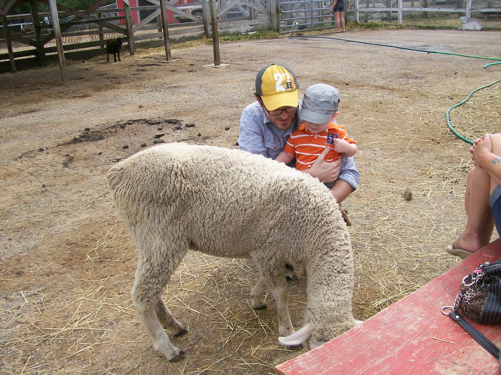Dave & Stephanie Collard