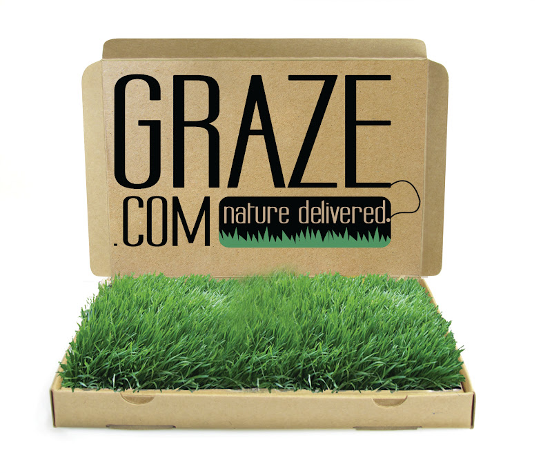 Final Major Project: Grass concept and design ideas