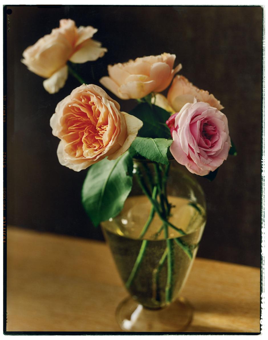 Vanessa Rudloff Photography: Maria Robledo Photography