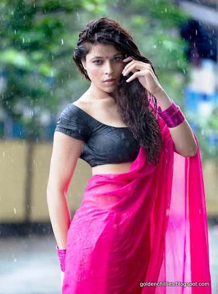 Bollywood Actress Hot Jyothi Rana Saree Stills Actress Hot Photos