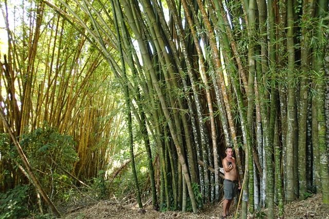 Manta matkalla Chilessä: Ilha Grande
