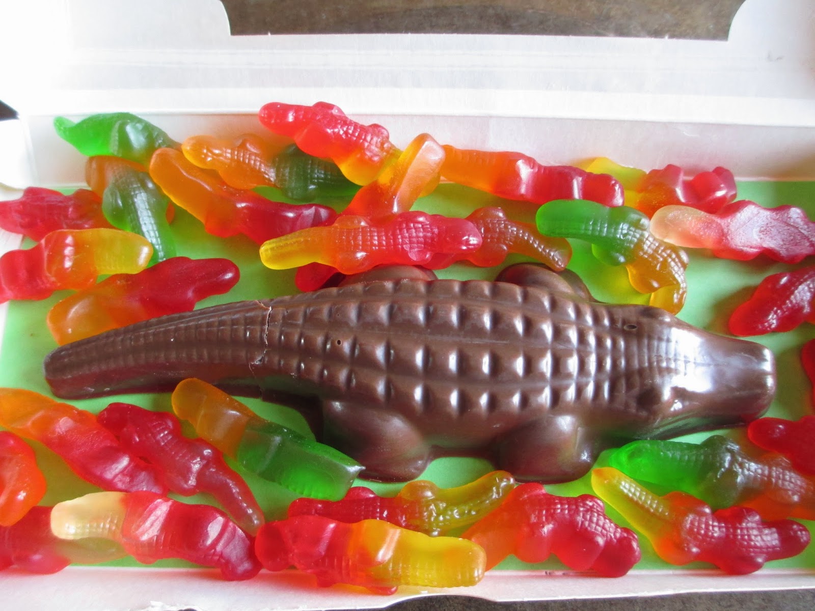 Delirious Documentations: Anastasia Confections: Chocolate Gator ...