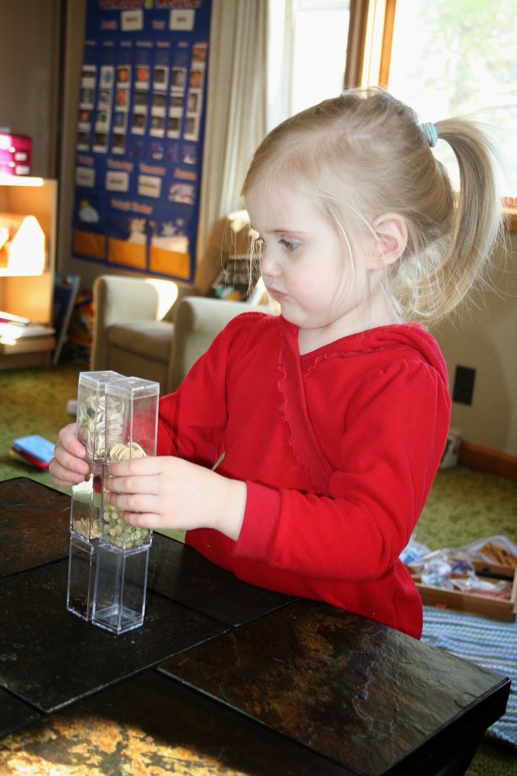 Our Country Road: Montessori Preschool Spring Theme