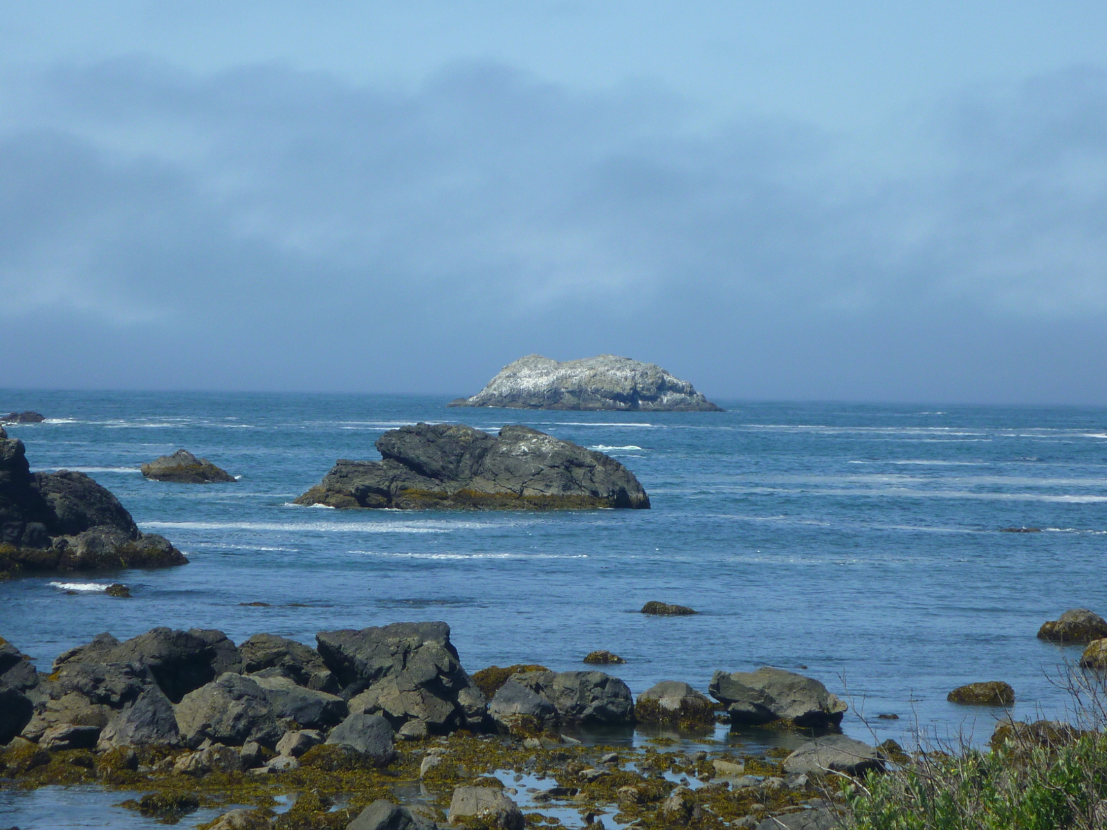 Trailing Ahead: Low-tide walk to Battery Point Lighthouse islet