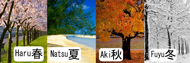Teach Yourself - Japanese: Verb set
