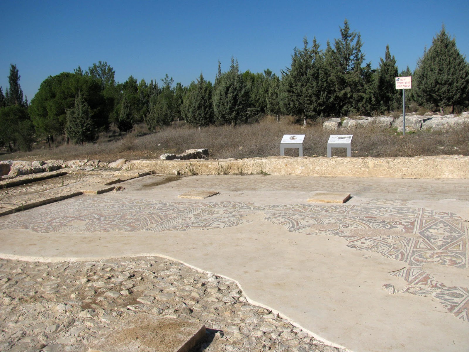 Handmade in Israel: Shoham Forest