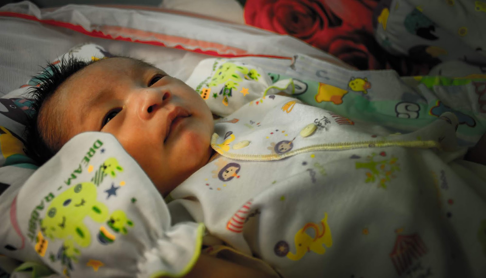 Maulana Abas Al Aidy