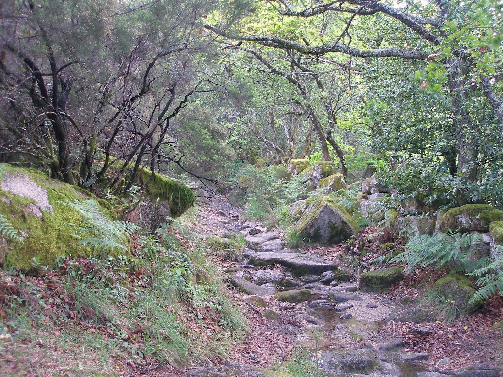 assim se faz aqui: A geira romana