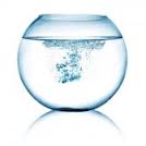 M* Print: Fostering Critical Thinking with Fishbowl Discussions