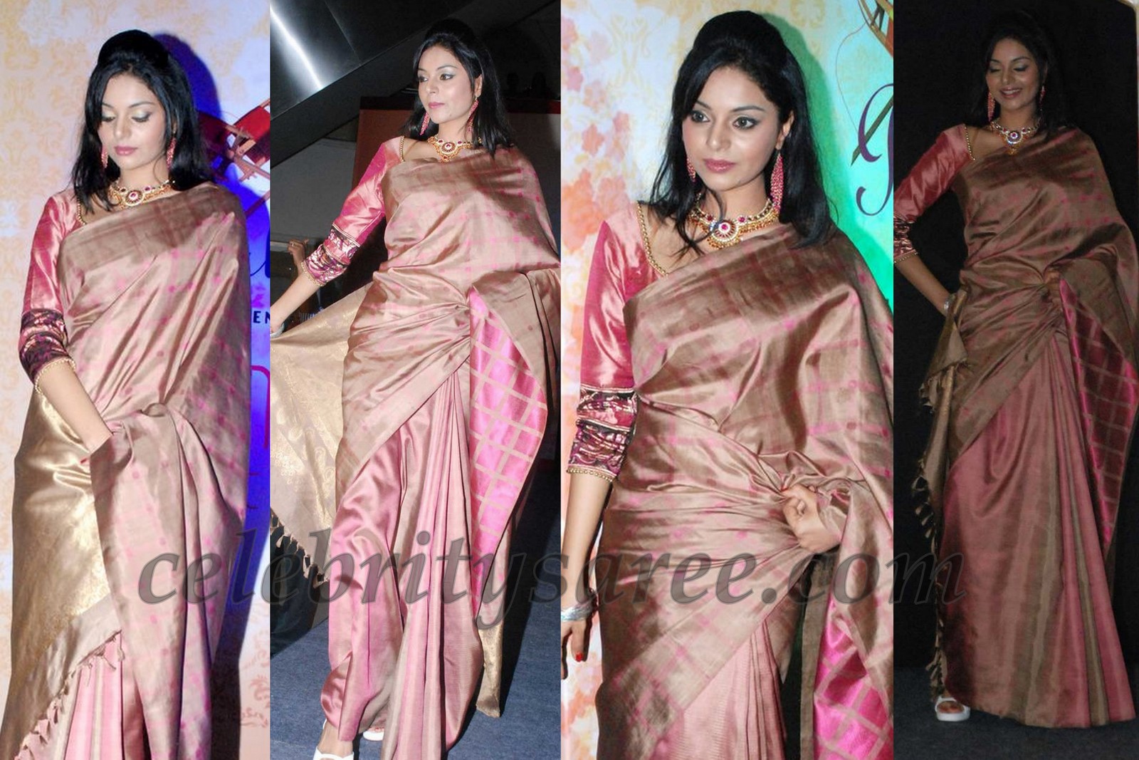 Models in Palam Silk Sarees - Saree Blouse Patterns