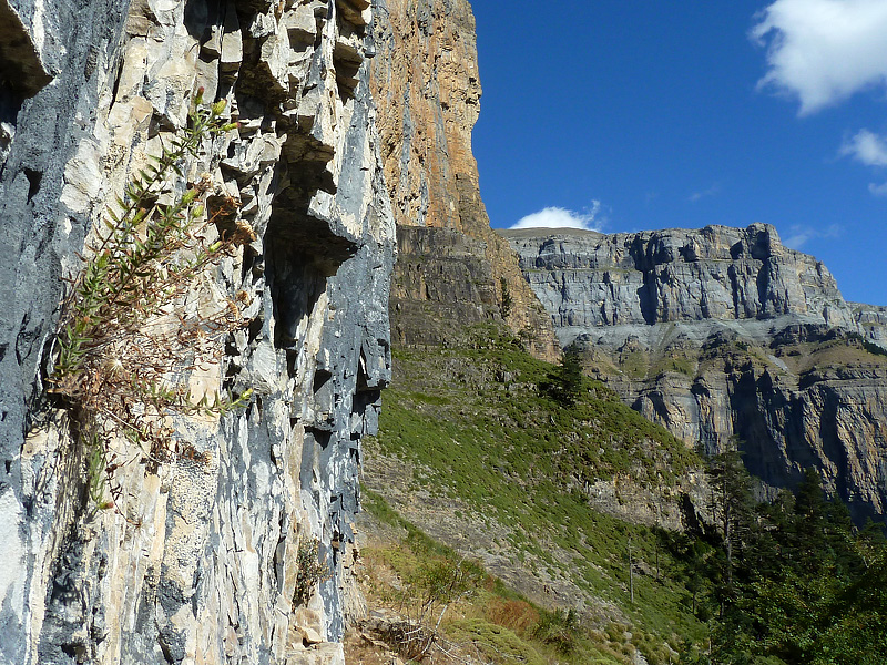 PASOS: Ordesa, Faja Racón. 19 de septiembre