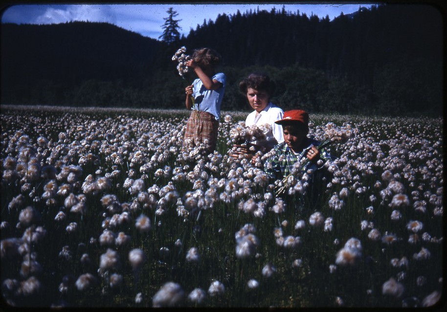55 Wonderful Color Photos Captured Everyday Life of Alaska in the 1950s ...