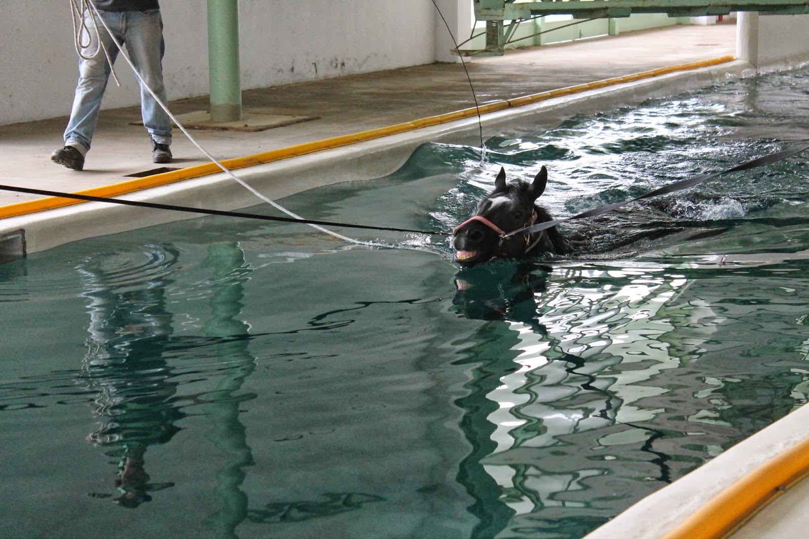 "IMPARABLE.. Hasta el 100": "KAWELL, CENTRO DE REHABILITACION ALTA ...