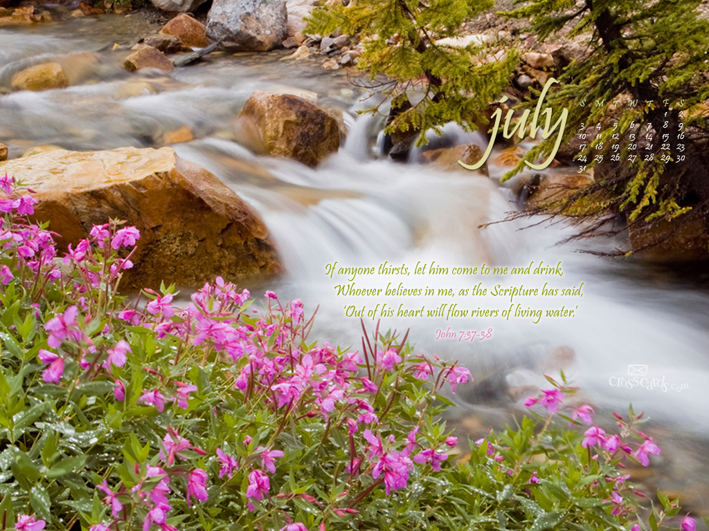 free wallpicz: Wallpaper Desktop 2011 Download