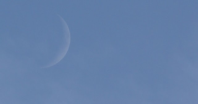 How to see Venus in daylight