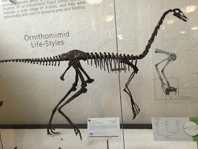 Prehistoric Beast of the Week: Struthiomimus: Beast of the Week