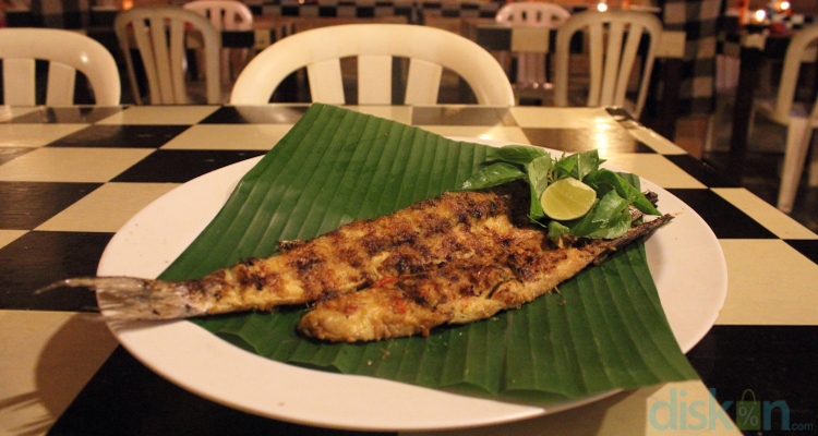 nothing but something: Apa Itu Ikan Barakuda?