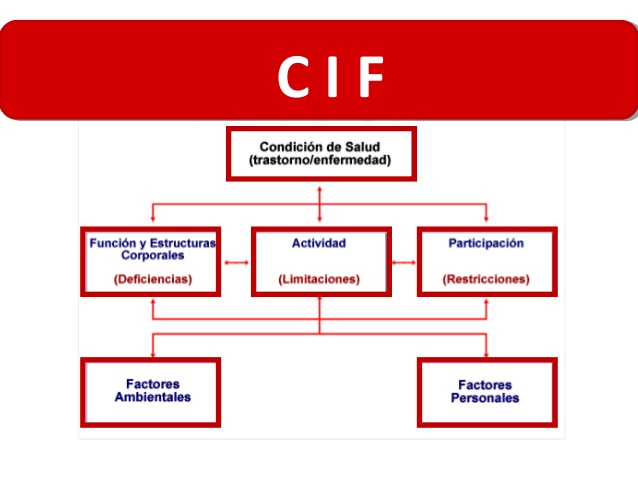 Bioética en Fisioterapia: Componentes de la CIF
