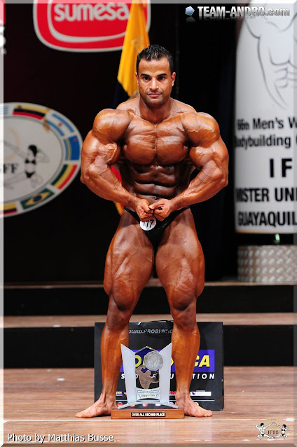 Muscle Lover: Egyptian bodybuilder Ahmed El Wardany