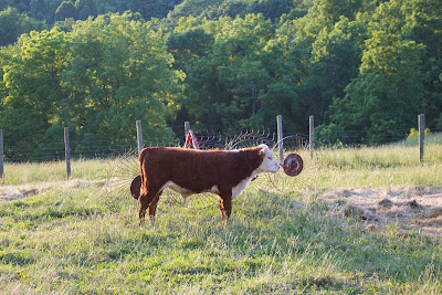 Down On The (Howard Family) Farm