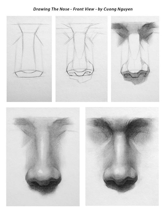 BRHS Com Art 1: The human face: The Nose