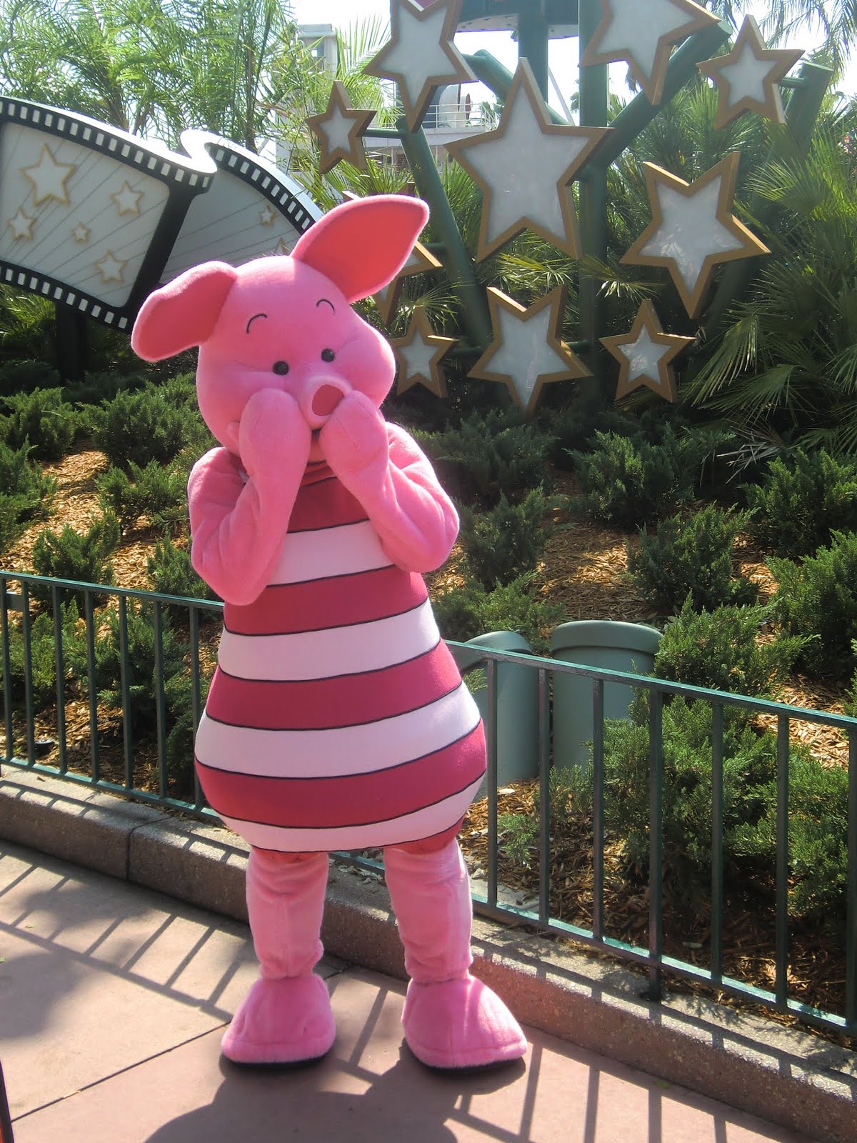 Unofficial Disney Character Hunting Guide: DHS-Piglet Appearing Without ...