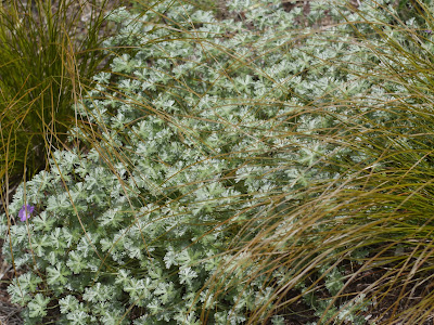 Foliage Follow-up: July 2016